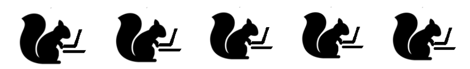 Sql Squirrels
